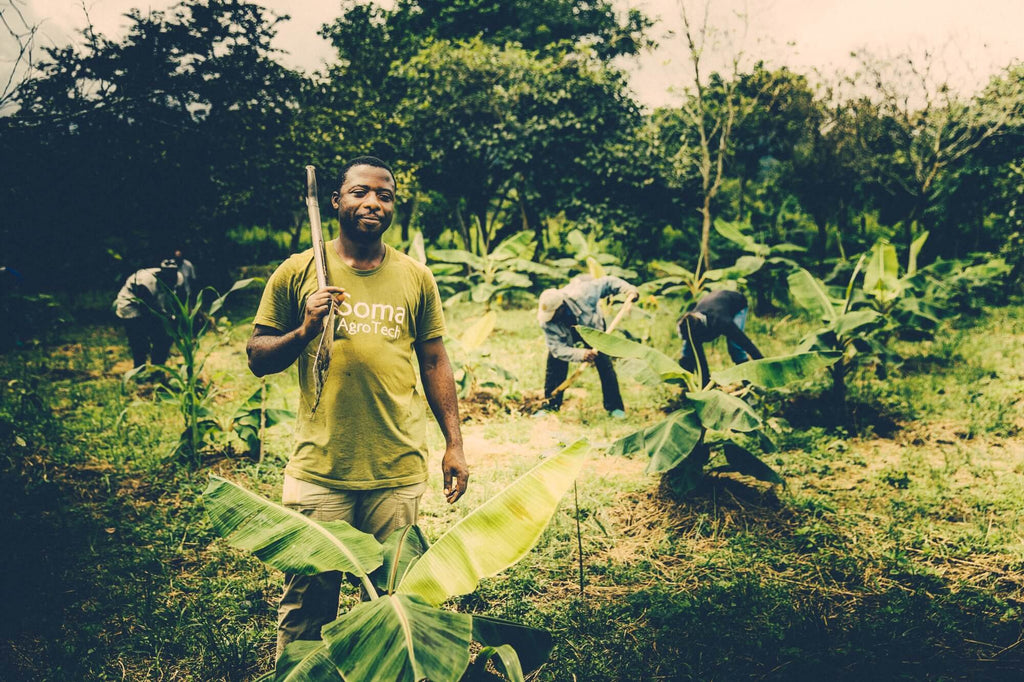 Bean to Bar Chocolate and Specialty Coffee | Moka Origins